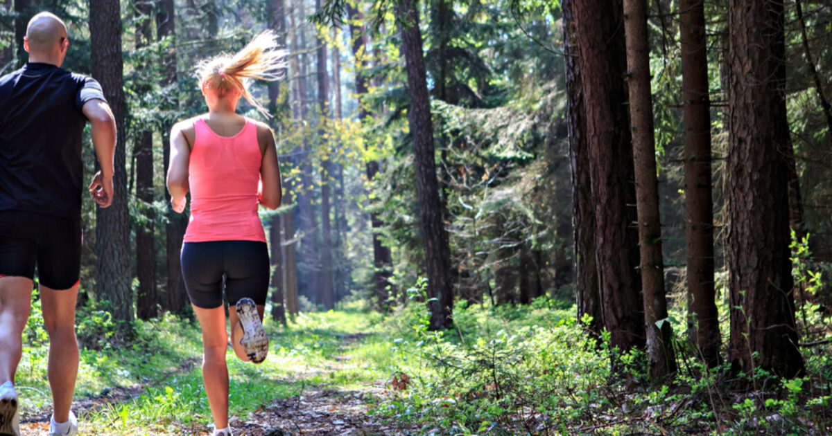 Hardlopen.nl - Hardlopen op de Utrechtse Heuvelrug