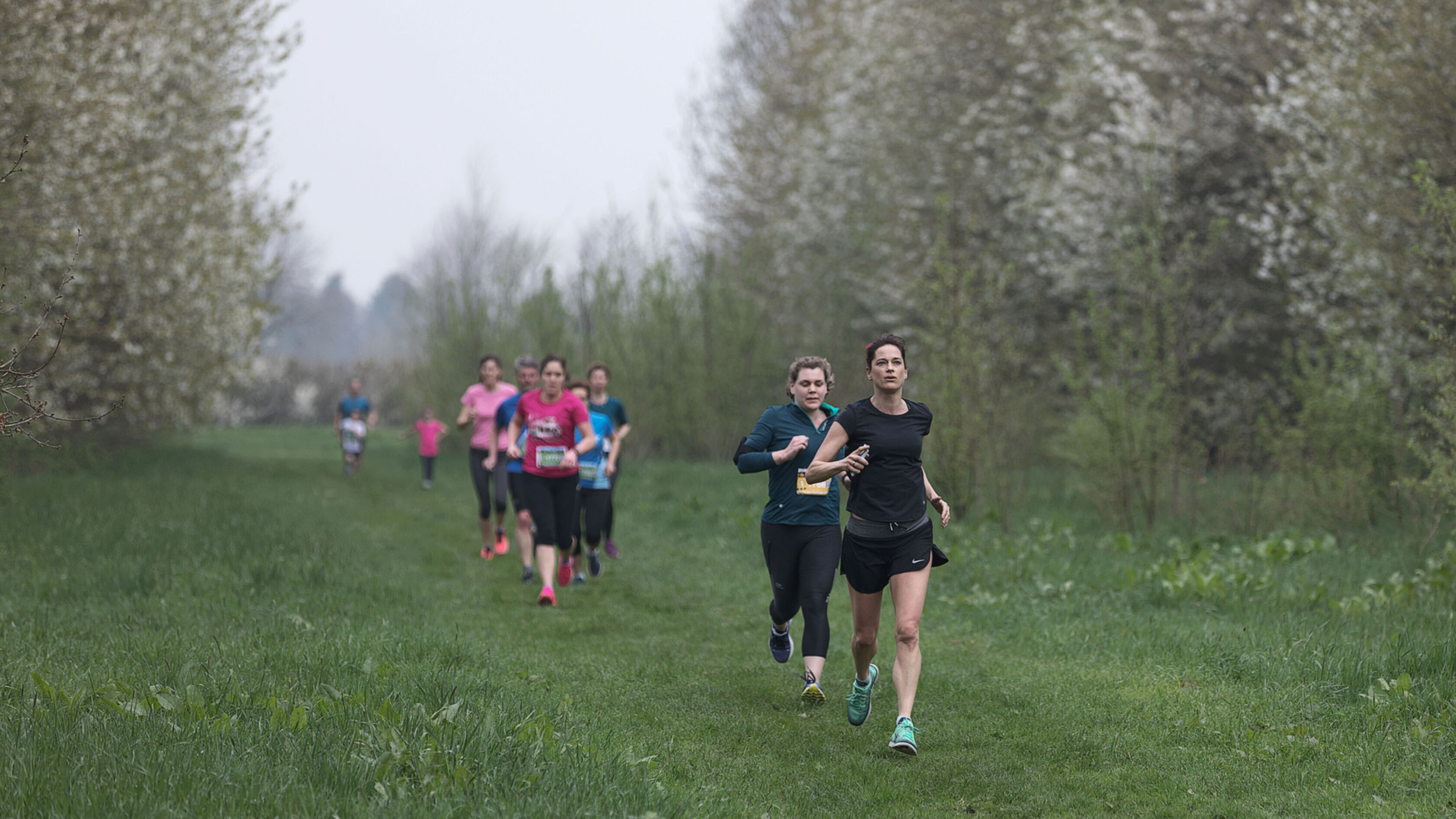 Hardlopen.nl - Parklopen: gratis rennen in het groen